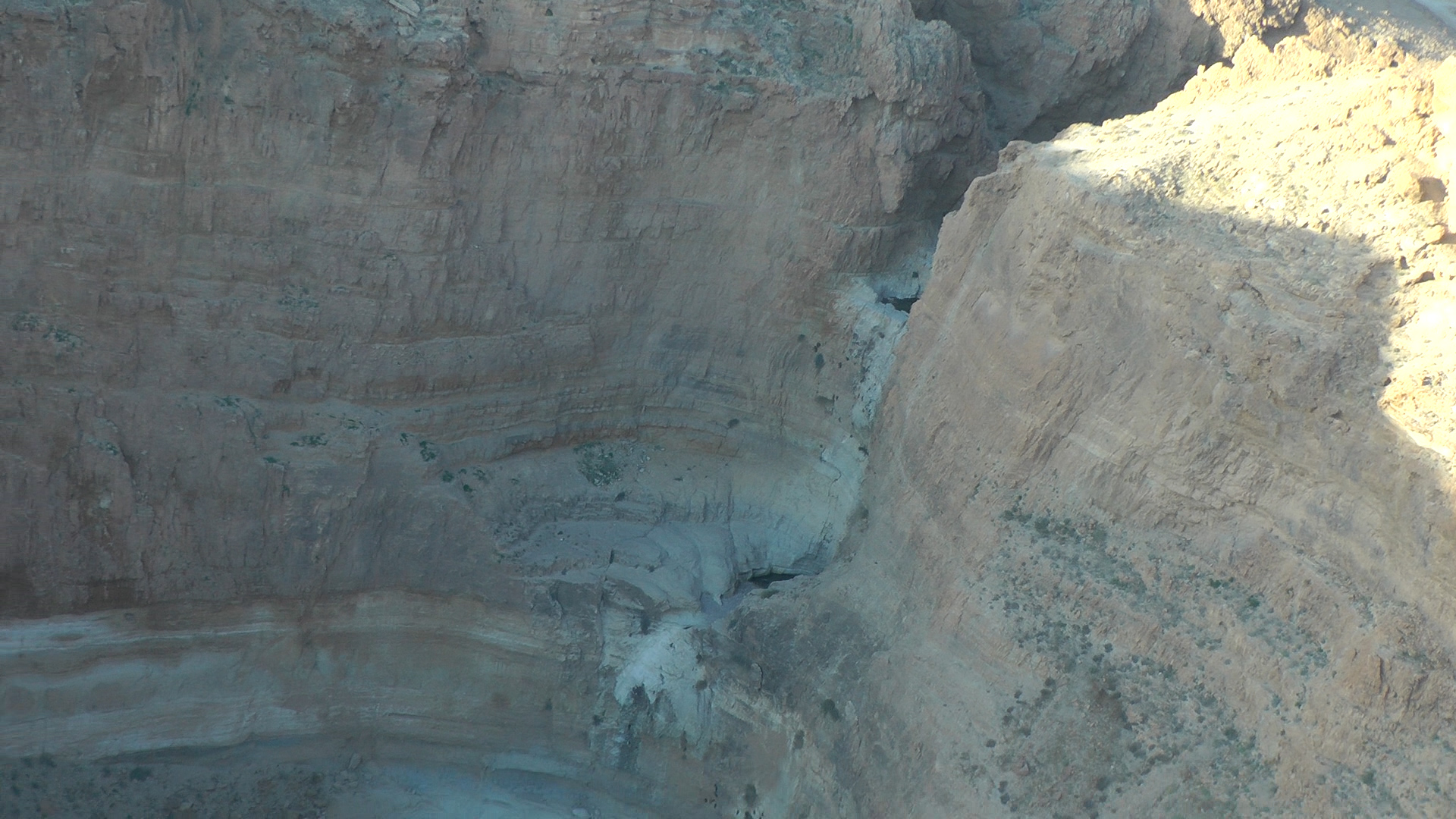 נחל צאלים ומישור עמיעז (שיטפונות במדבר ויחידת חילוץ 669) | מבט-על